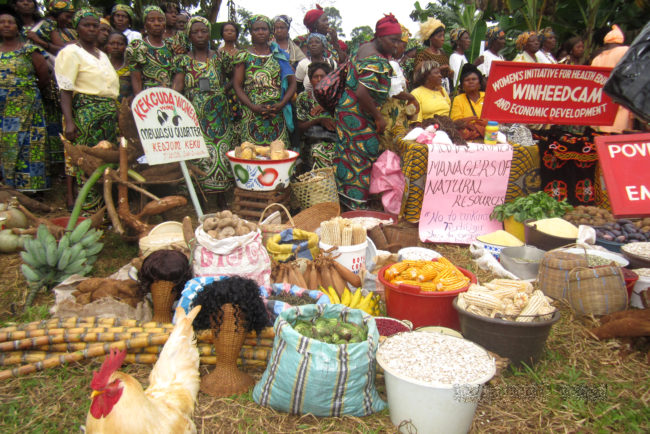 Cameroon Focuses on Climate Change During Annual World Rural Women’s Day