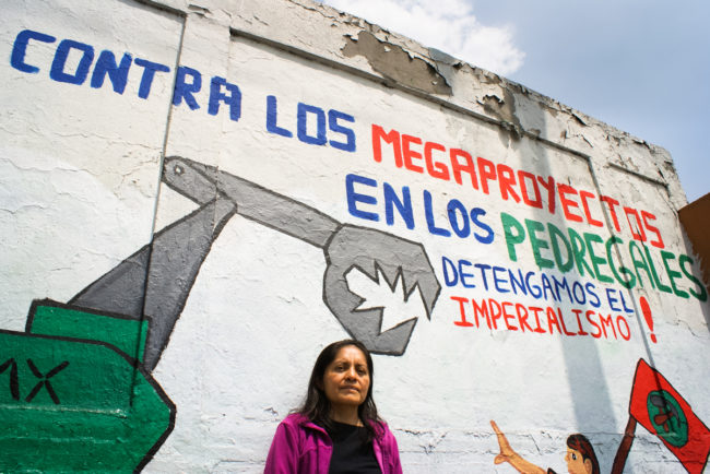 Mexico City Residents Fight to Protect Their Neighborhoods From ...