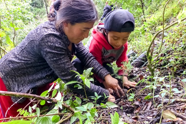 Learning How to Plant Trees in Guatemala