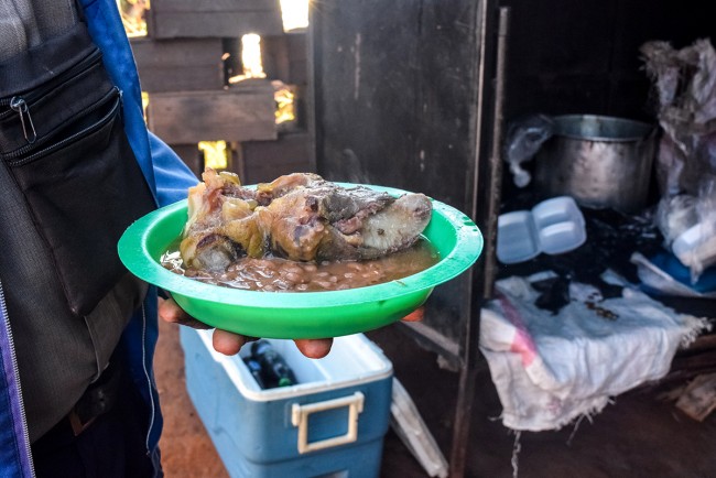 Cow’s Trotters a Popular Delicacy in Zimbabwe, Thanks to Reputation as ...