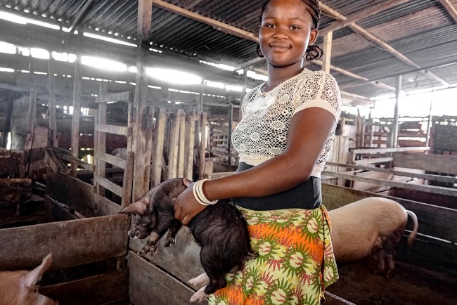 Local Women Embrace Pig Farming In Attempt to Curb Ebola Outbreak in DRC