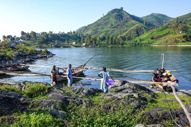 Conservation Efforts to Save Hippos May End Ongoing Tilapia Shortage in ...