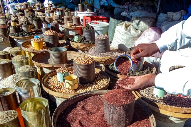 Small Grains Hold Promise for Alleviating Food Insecurity in Zimbabwe