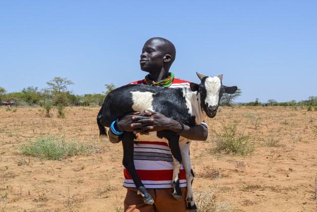 Keeping Goats in the Family: When Livestock Is Used as Dowry and ...