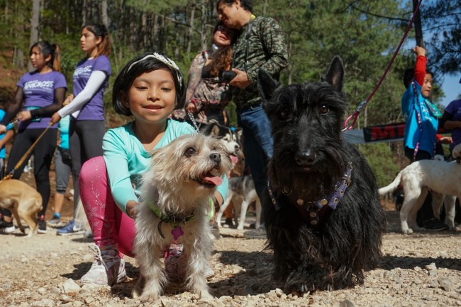 Paws for a Cause: Dogs Compete to Benefit Shelters