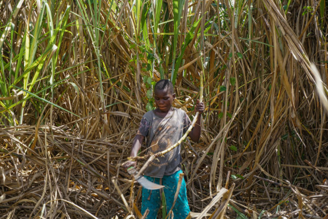 For Many, Hard Labor Takes the Place of Homework