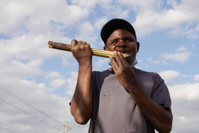 Vendor in Zimbabwe Savors Sugar Cane Season