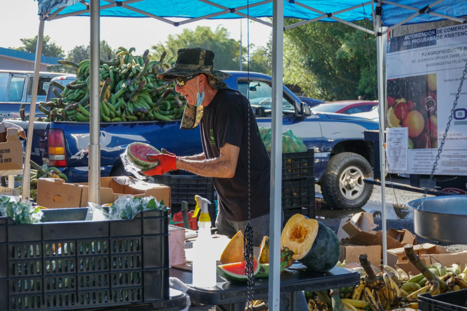 Vendor Sells Local Produce at Family Market in Puerto Rico | Global ...