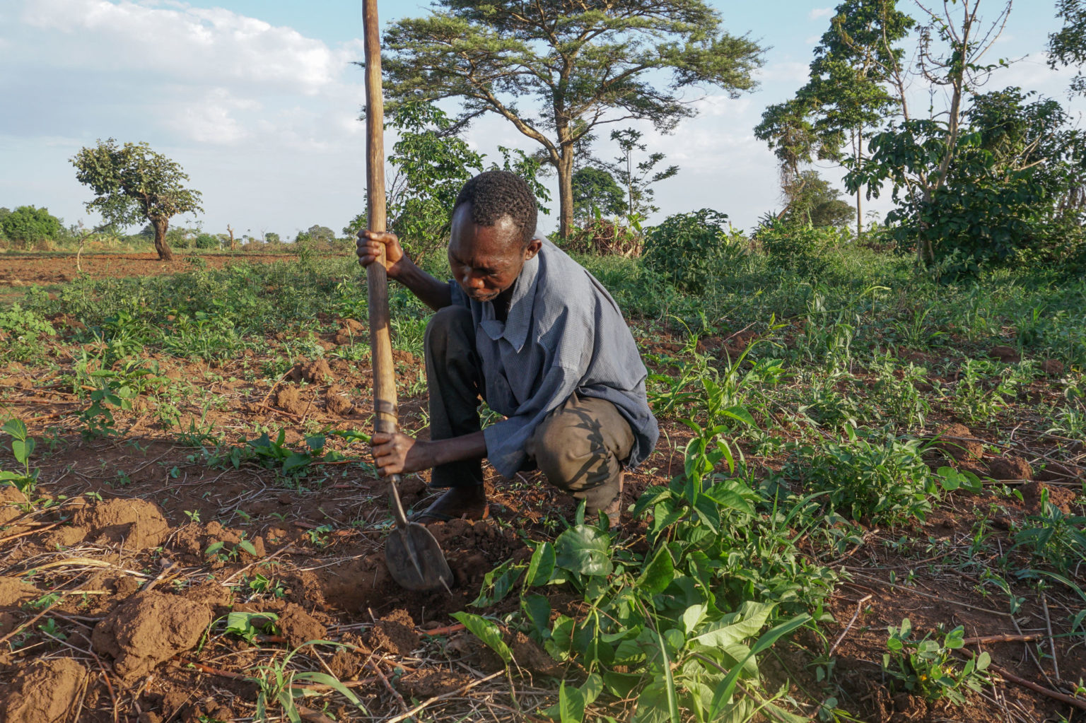 Global Press Journal