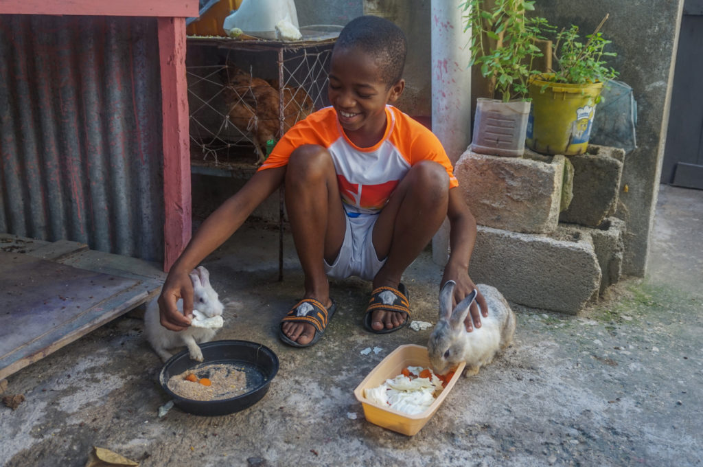 Aspiring Farmer Raises Rabbits in Haiti | Global Press Journal