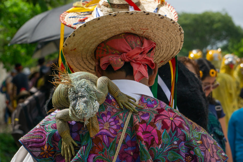Mexican Religious Festival Celebrates the Eucharist | Global Press Journal