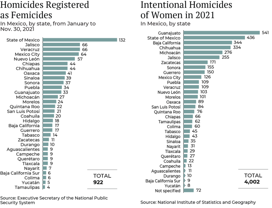 As Her Daughter’s Femicide Case Stalls in Mexico, One Mother Seeks ...