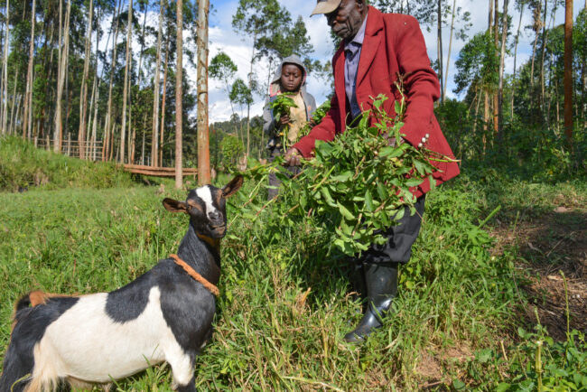 14 Heartwarming Photos of People and Their Pets Around the World ...