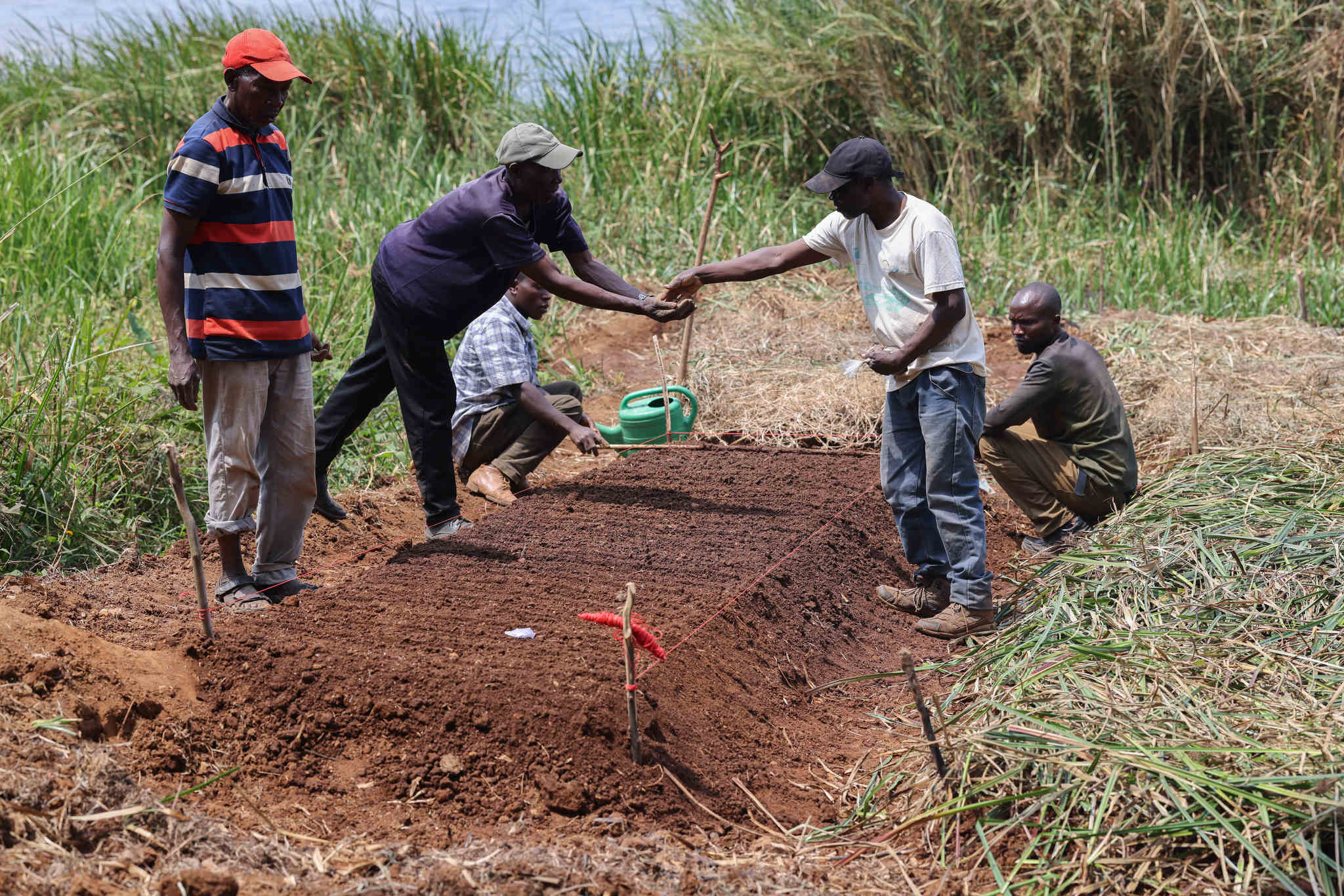 In DRC, Tragic Floods Demonstrate the Lifesaving Power of Trees