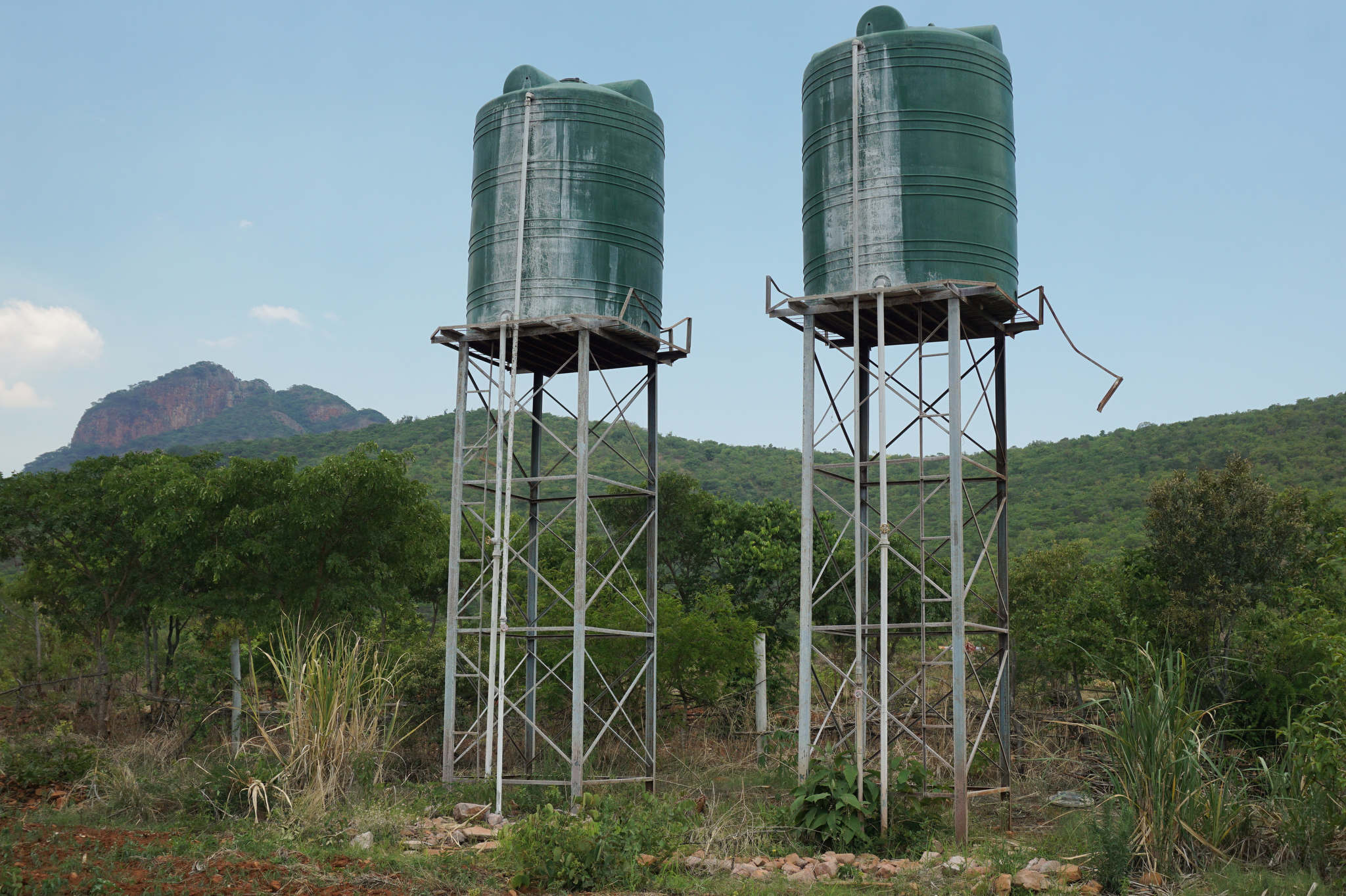 A Harvest for Hunger in Rural Zimbabwe