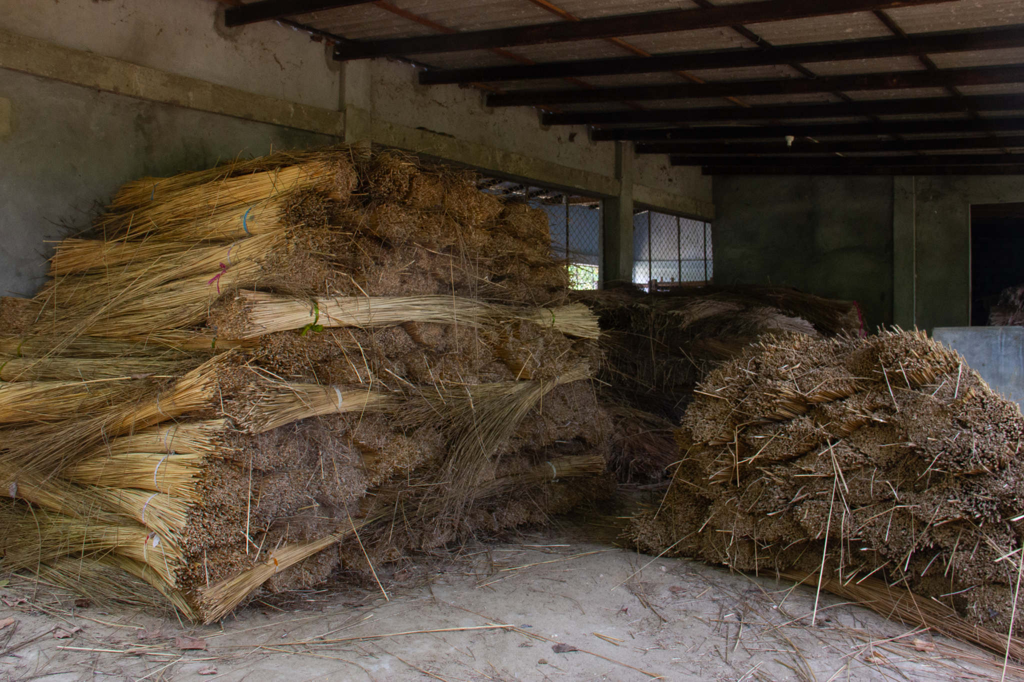 The Dying Art of Sri Lankan Mat Weaving